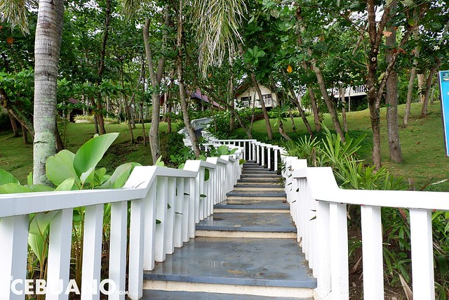 7 Reasons that Make El Mar Resort the Ultimate Beach Destination in ...